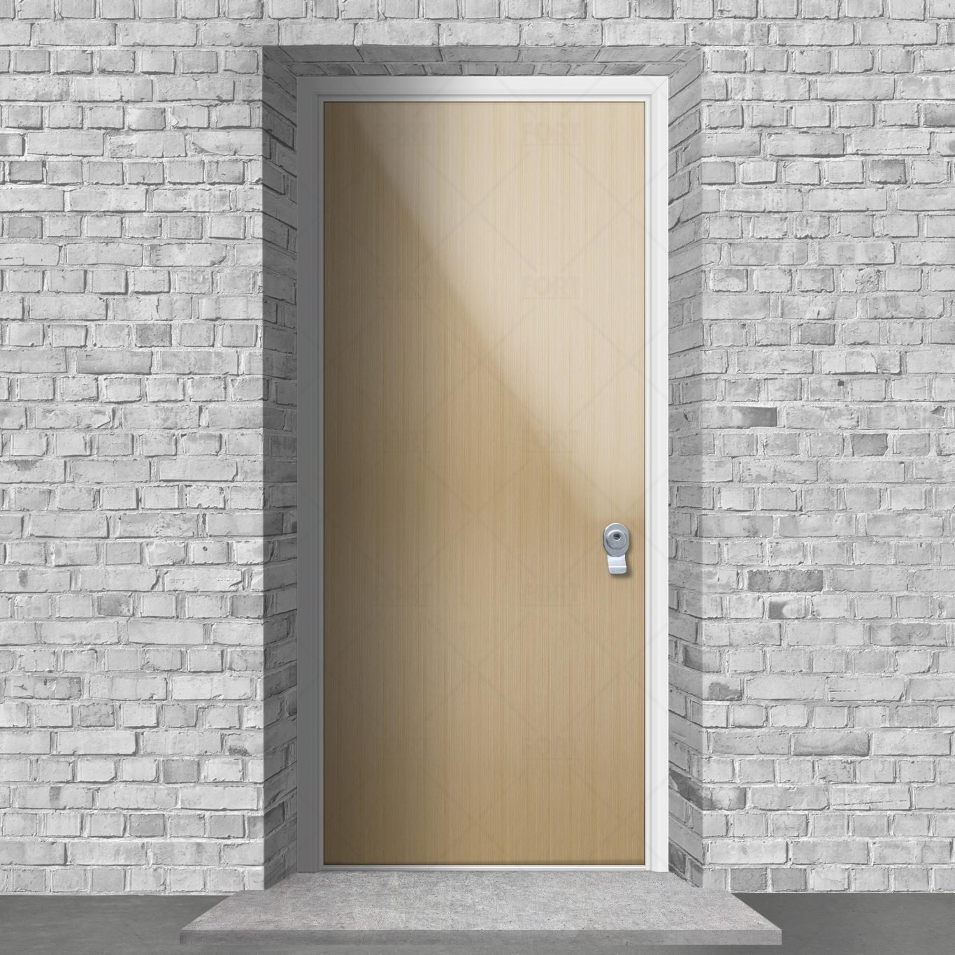 Plain door Birch
